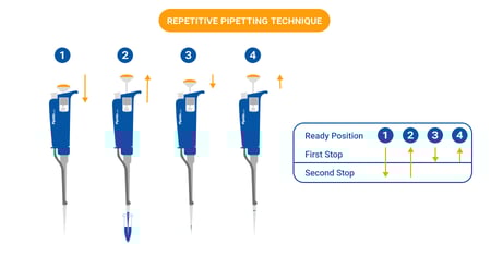 Guide to Pipetting | Pipette.com